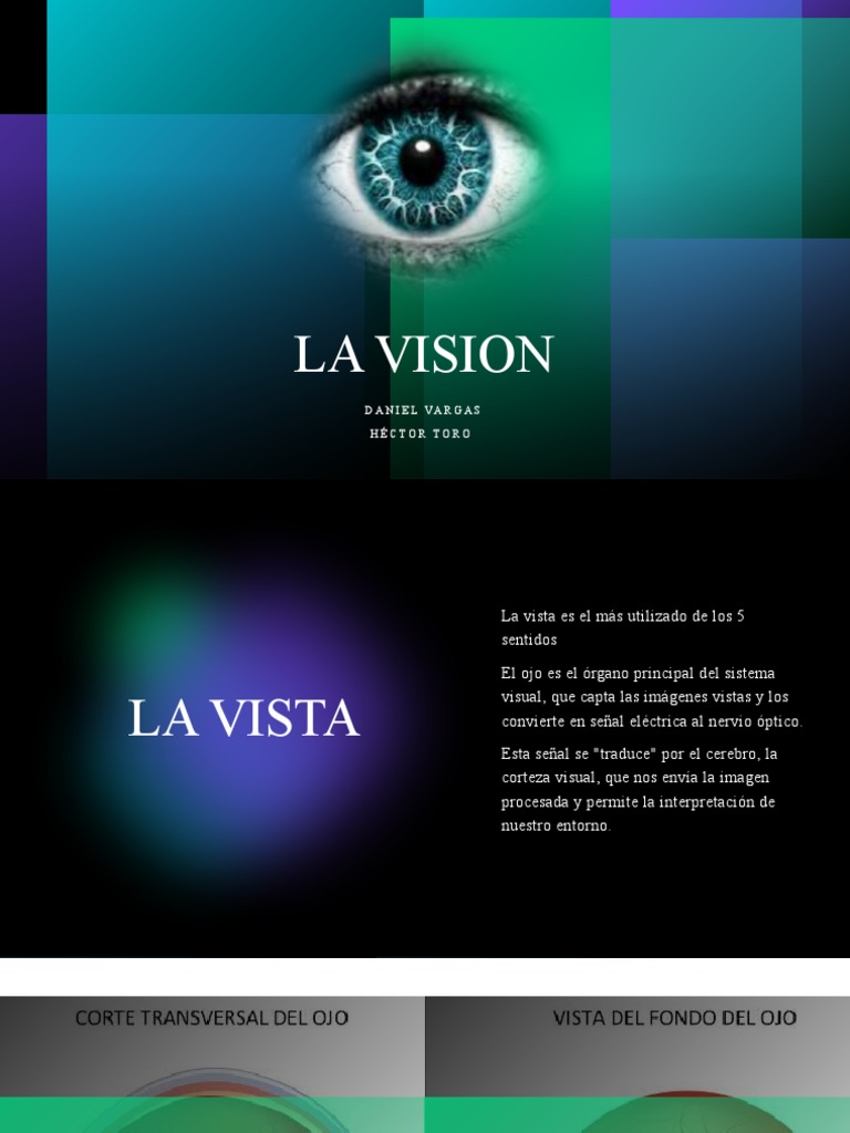 La Vision | PDF | Salud y bienestar