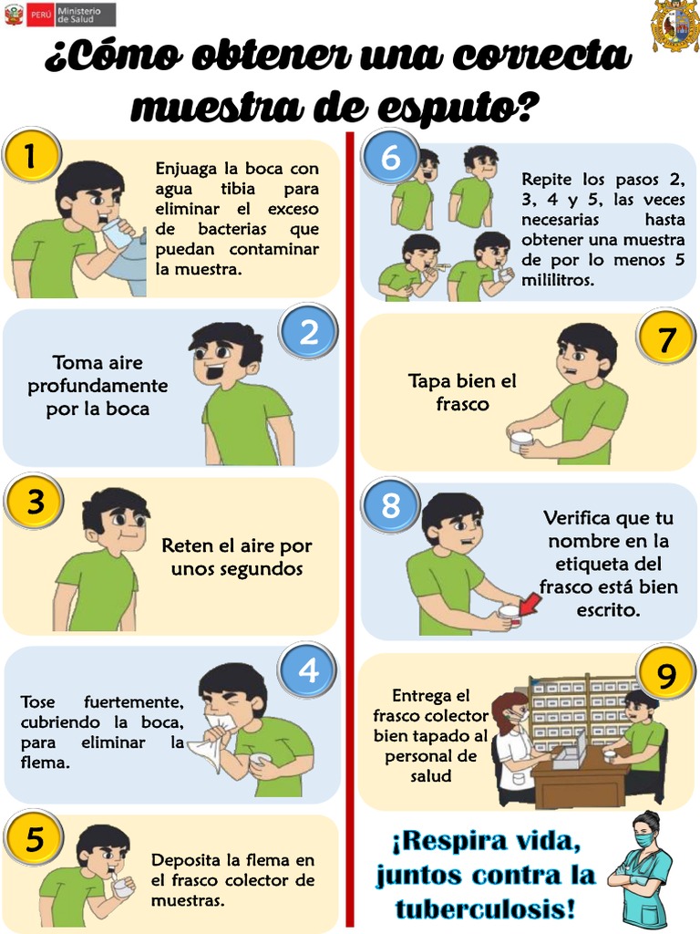 Procedimiento para tomar muestra de esputo | PDF | Enfermedades ...