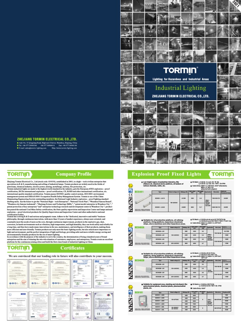 Tormin Latest Brief Catalog | PDF | Lighting | Electric Power