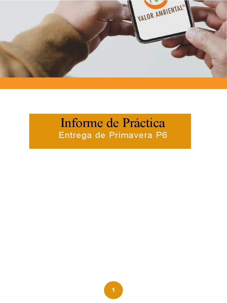 Primavera p6 Informe | PDF | Servidor SQL de Microsoft | Bases de datos