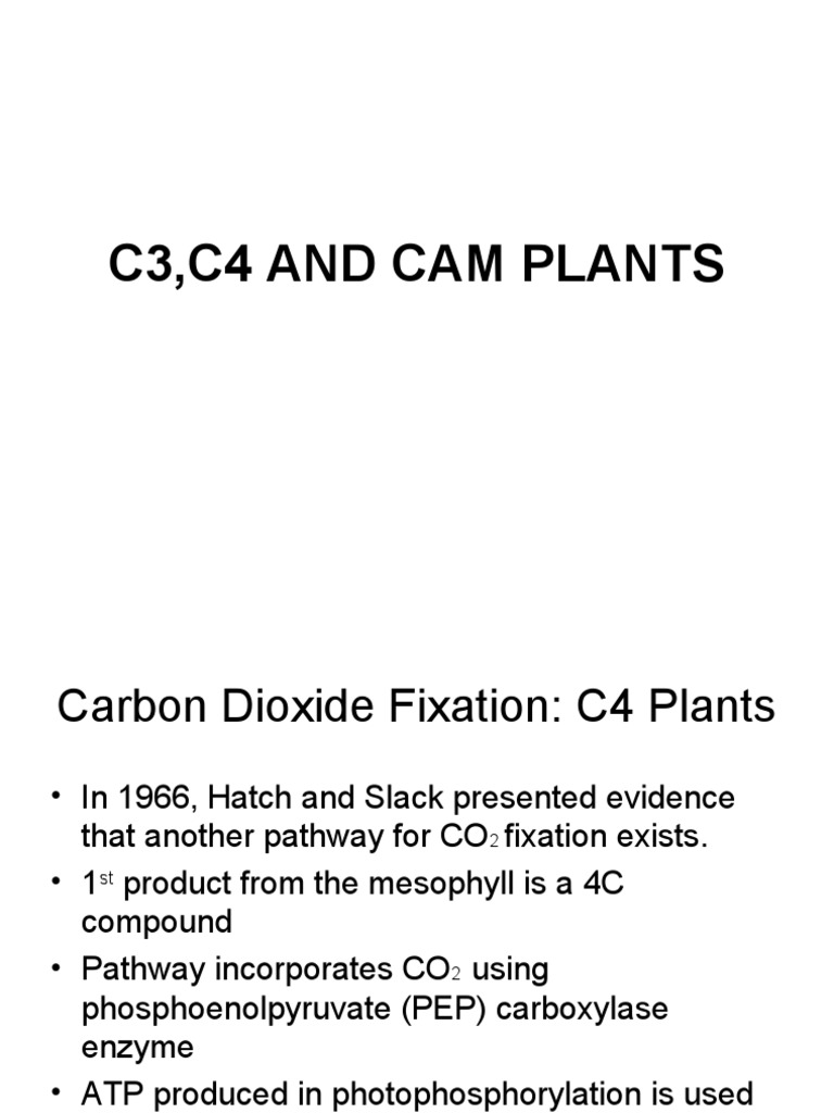8 c3, c4 and Cam Plants | PDF | Plant Physiology | Metabolism