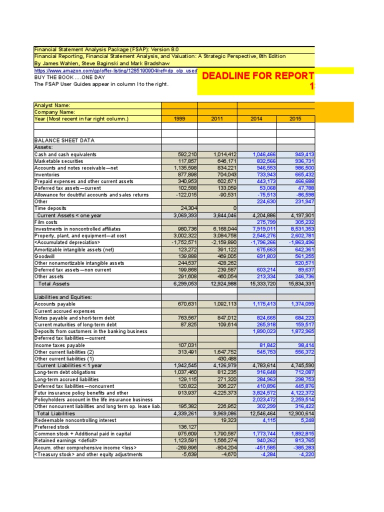 Financial Statement Analysis Package (FSAP) Version 8.0 | PDF ...