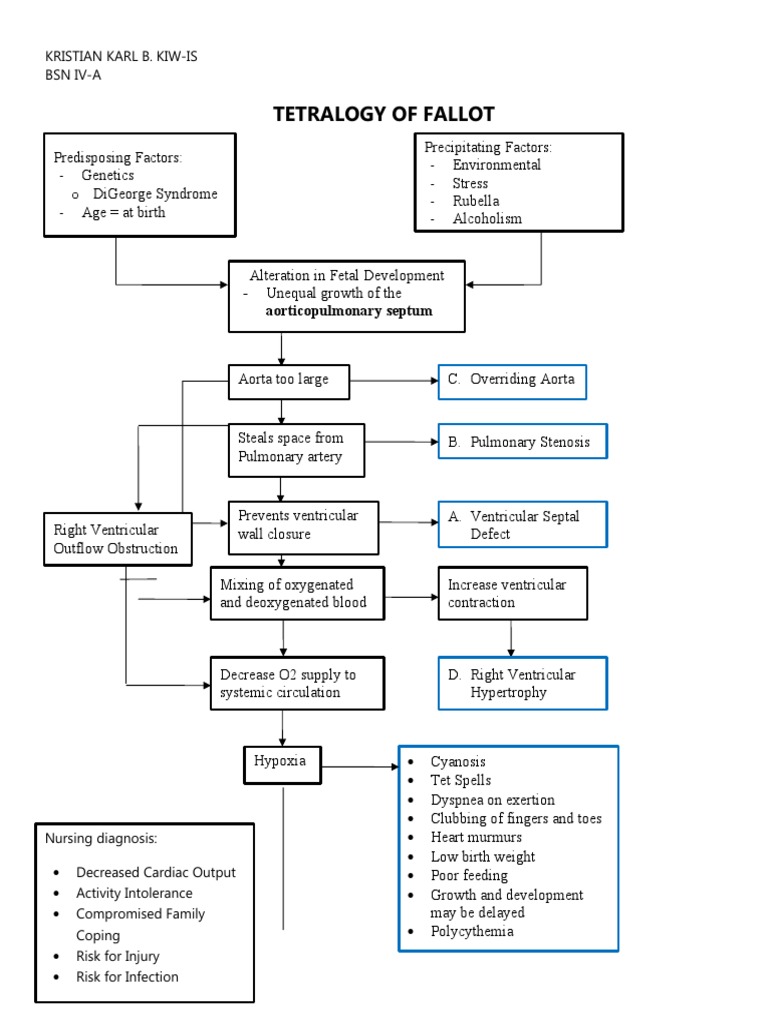 Concept Map Tetralogy of Fallot | PDF | Medical Specialties | Cardiology