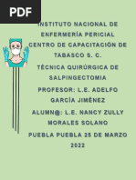 Colpoperineoplastia: Técnica y Procedimiento | PDF
