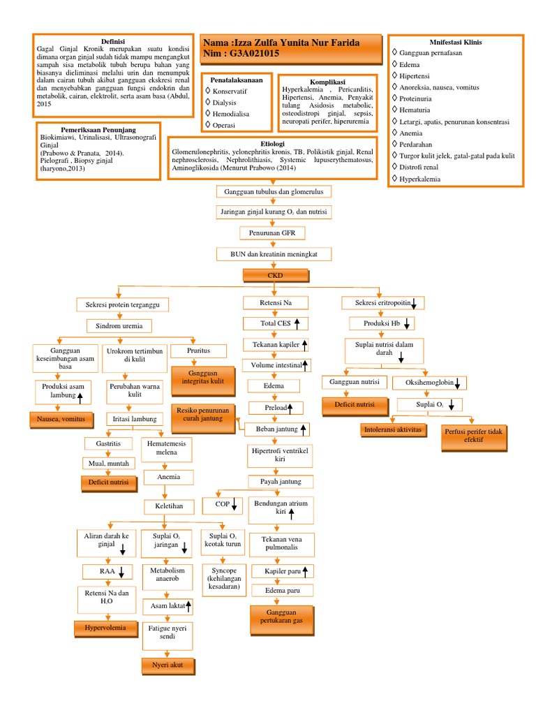 Mind Map - CKD - Izza | PDF
