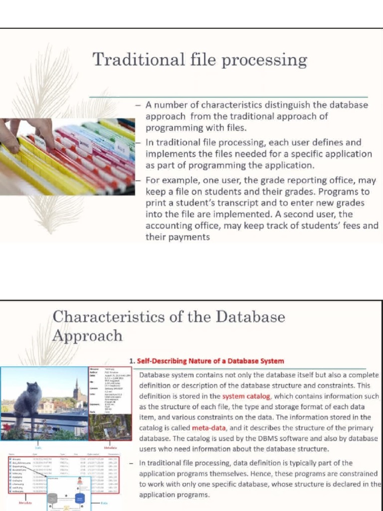 Traditional File Processing | PDF | Databases | Computer File