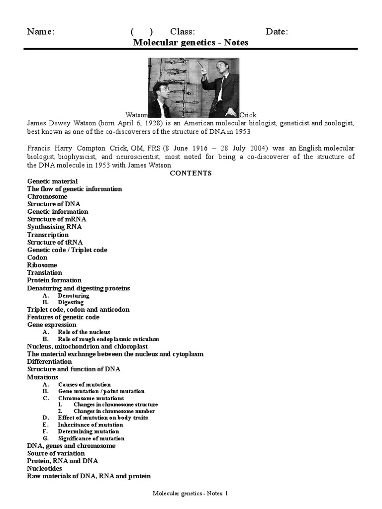 Molecular Genetics Overview and Notes | PDF | Translation (Biology ...