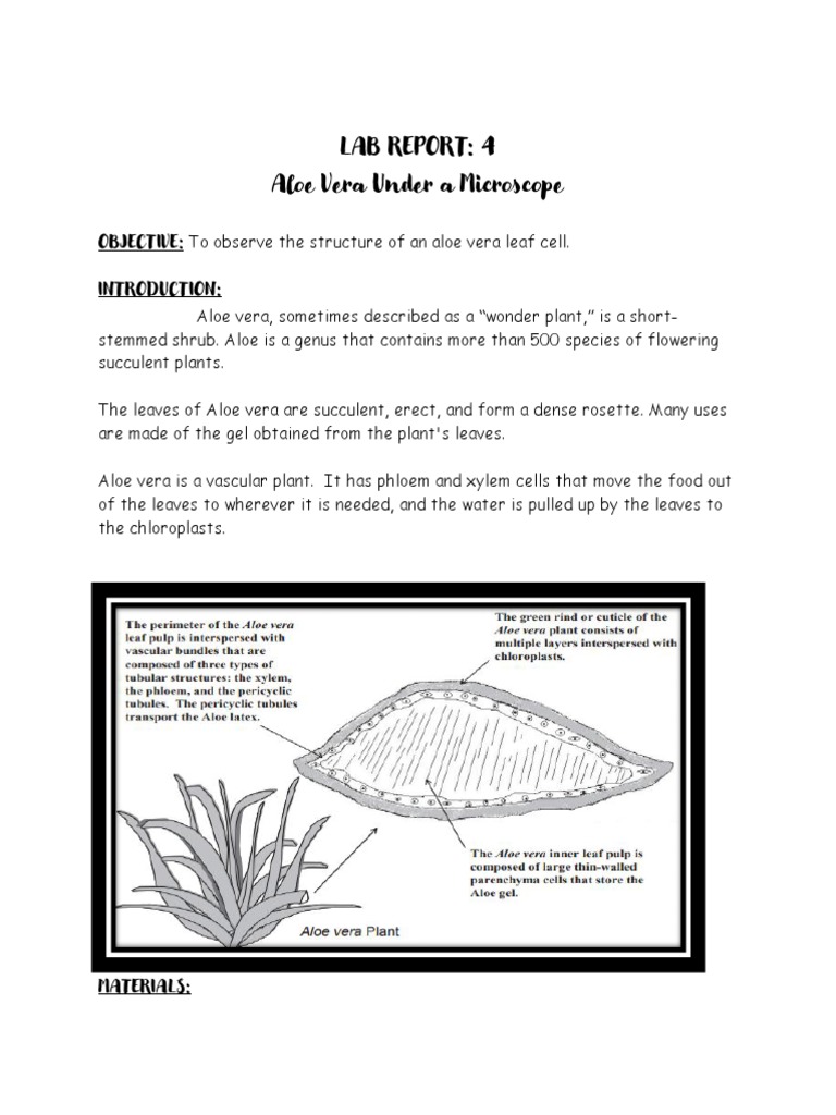 Lab Report - Aloe Vera Cell | PDF