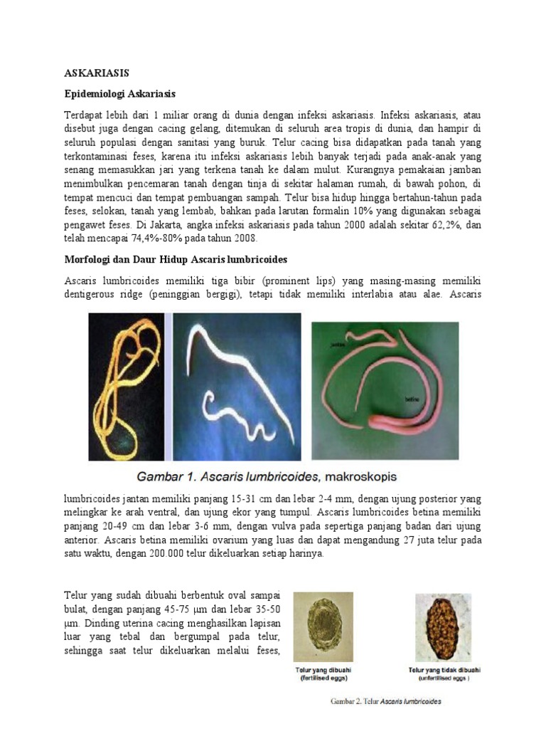 Askariasis | PDF | Sains & Matematika