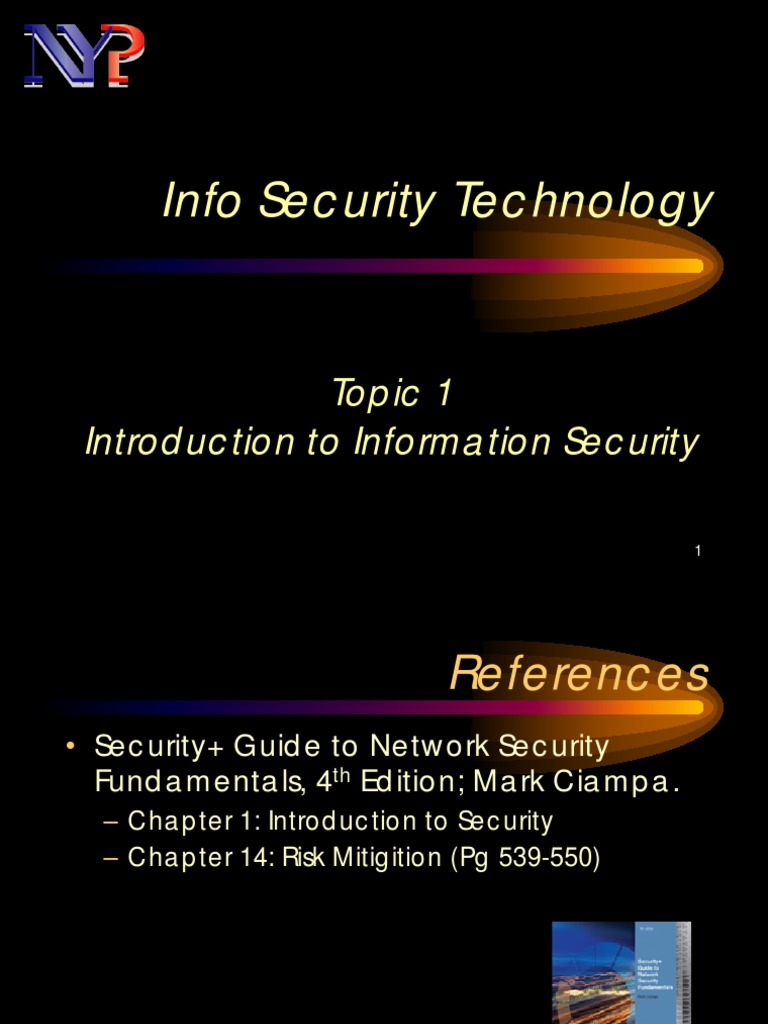 Introduction To Security | PDF | Information Security | Vulnerability ...