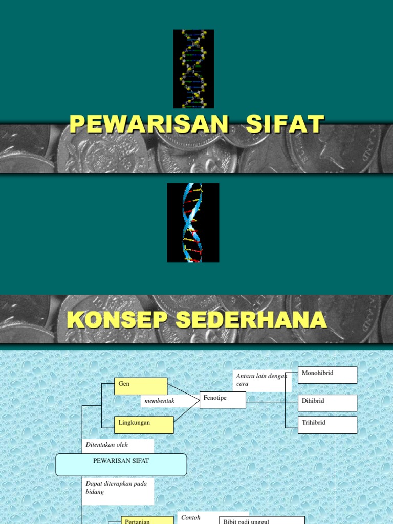 Pewarisan Sifat | PDF