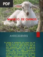 Ciclo de Vida de La Vaca | PDF | Vacas | Leche