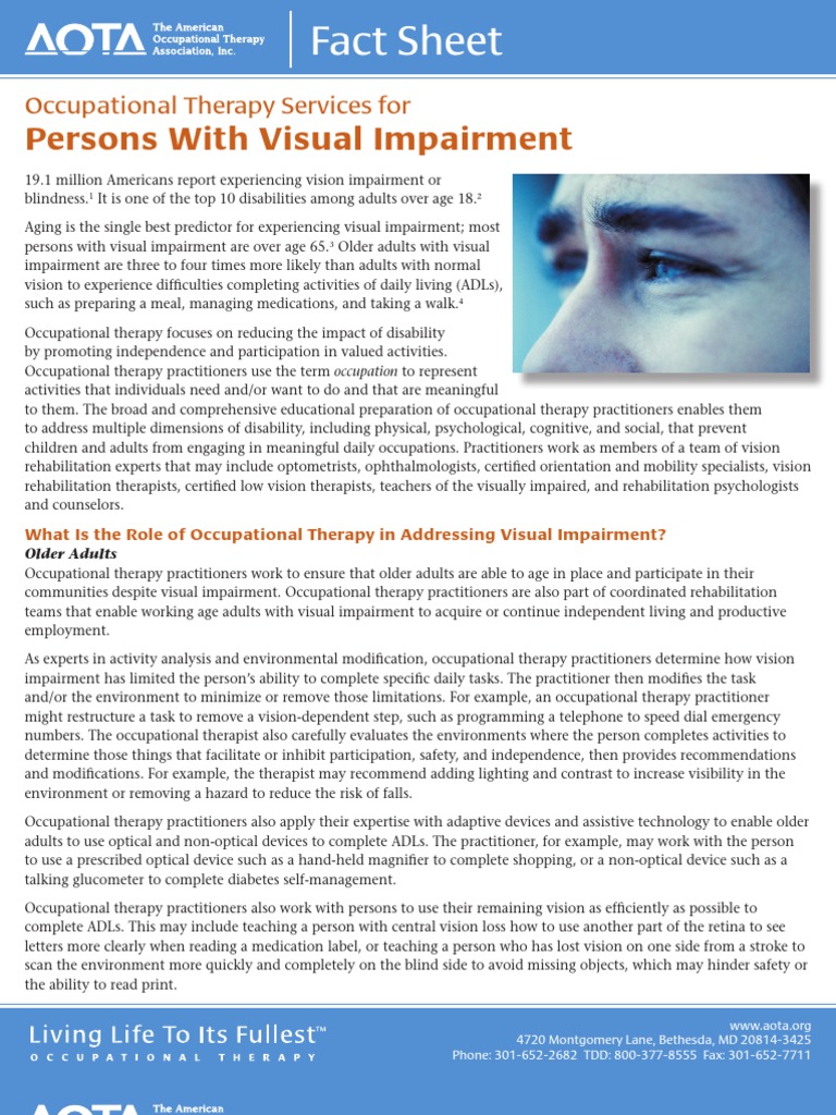 Occupational Therapy Services For Persons With Visual Impairment | PDF ...