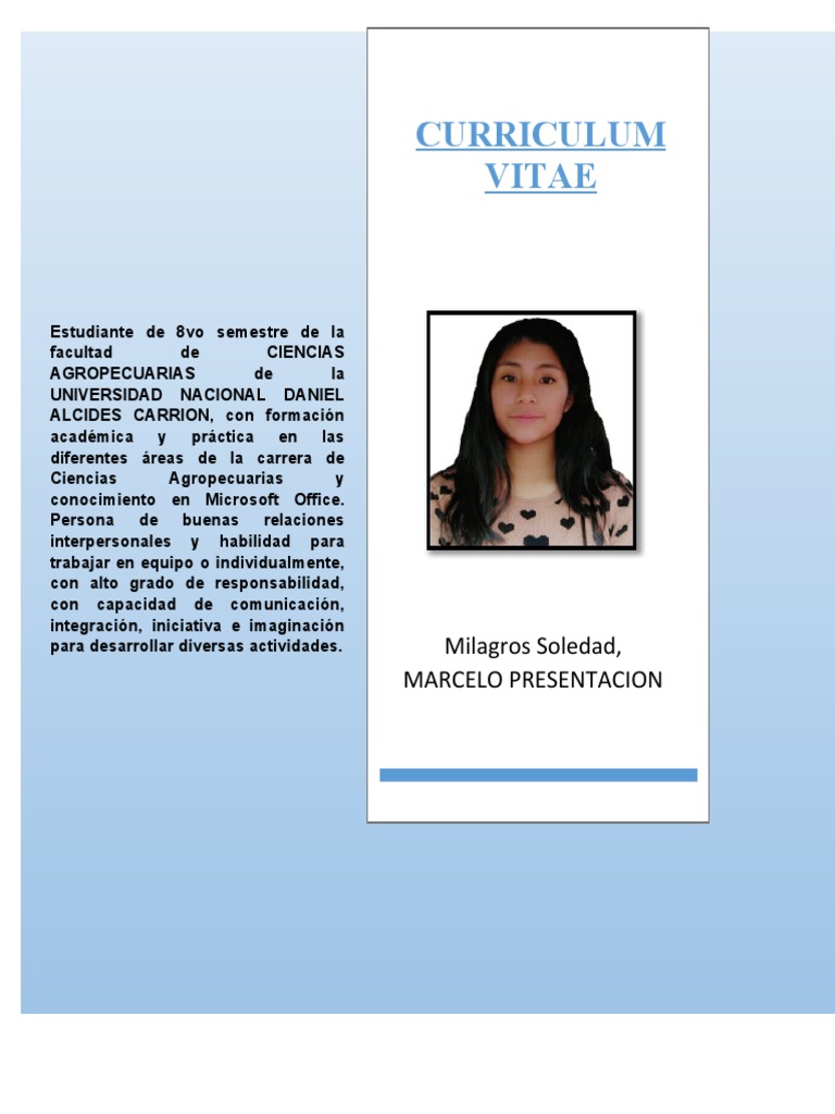 CV Milagros | PDF
