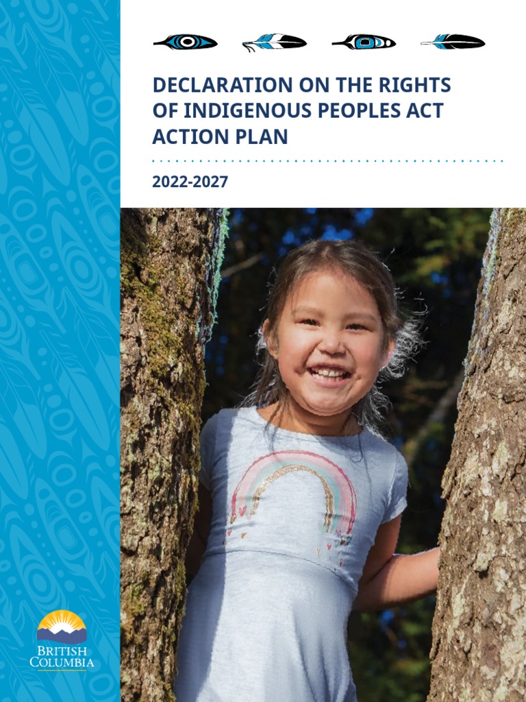 Declaration On The Rights of Indigenous Peoples Act Action Plan | PDF ...