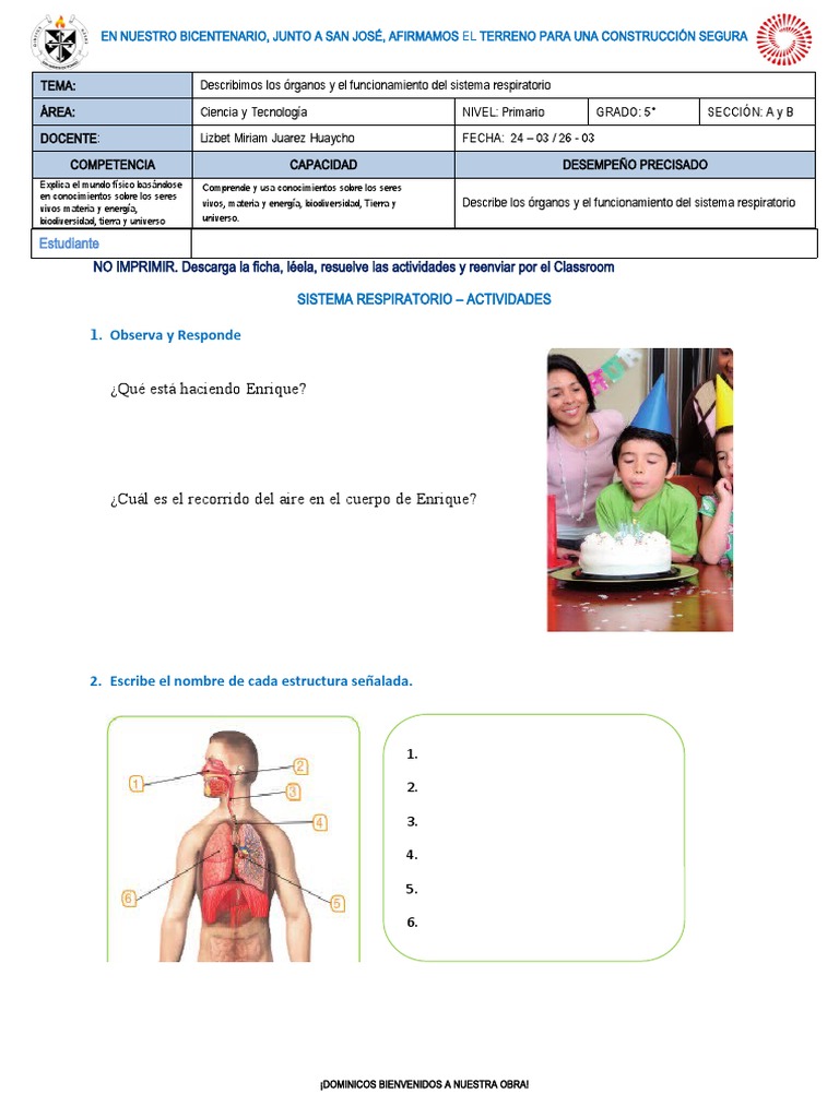 Sistema Respiratorio - Actividades | PDF | Sistema respiratorio