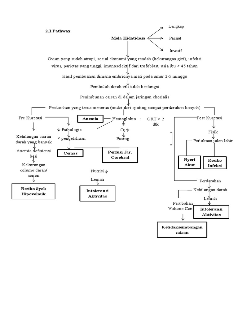 Pathway Fix Print | PDF