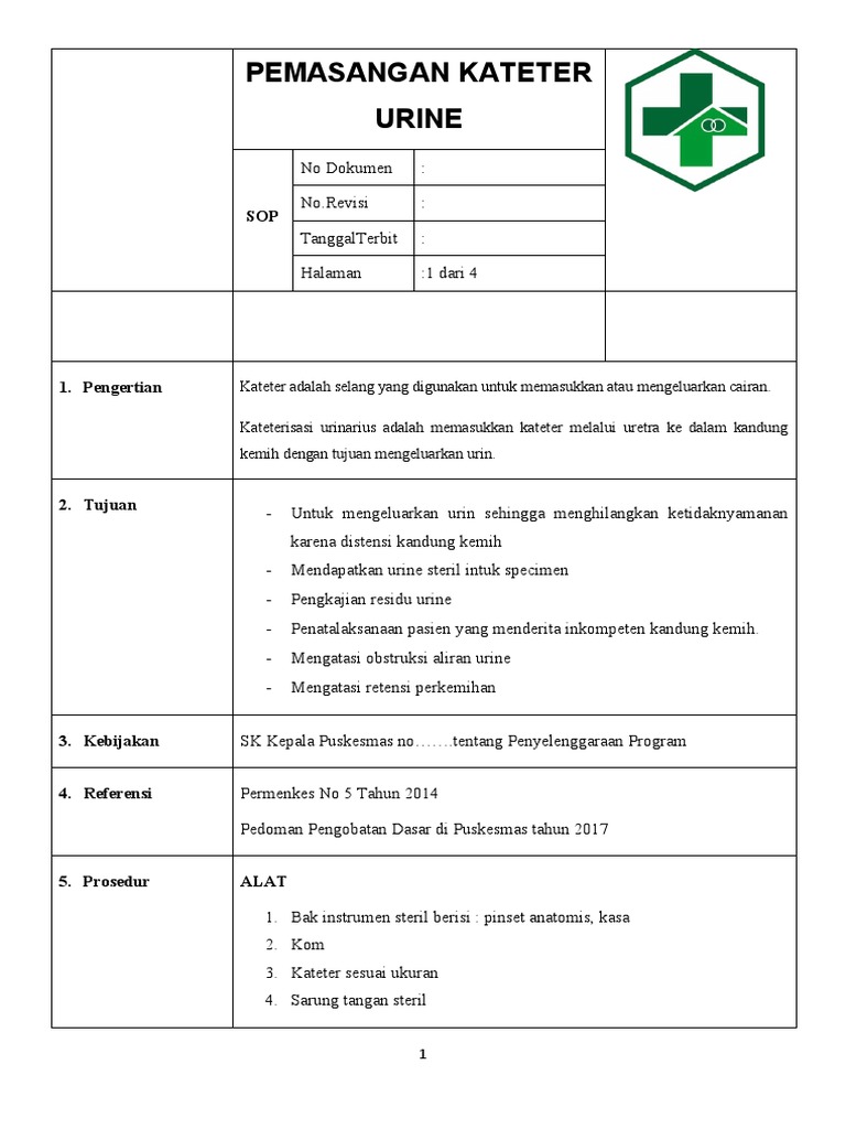 Judul Sop Pemasangan Kateter | PDF