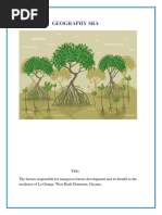 Technical Drawing SBA Sample | PDF | Technical Drawing
