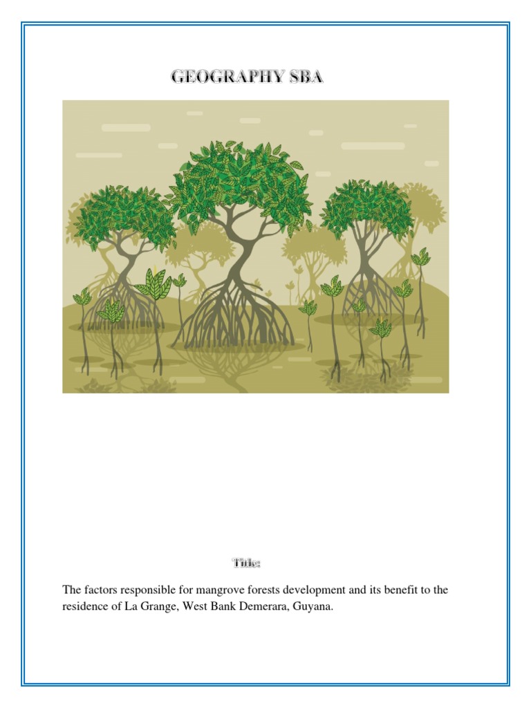 Geography Sba | PDF | Mangrove | Soil
