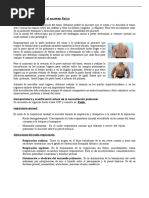 Es La Pectoriloquia Áfona | PDF