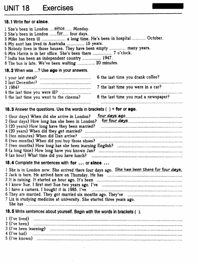 Essential Grammar in Use A Self Study Reference and Practice Book For ...