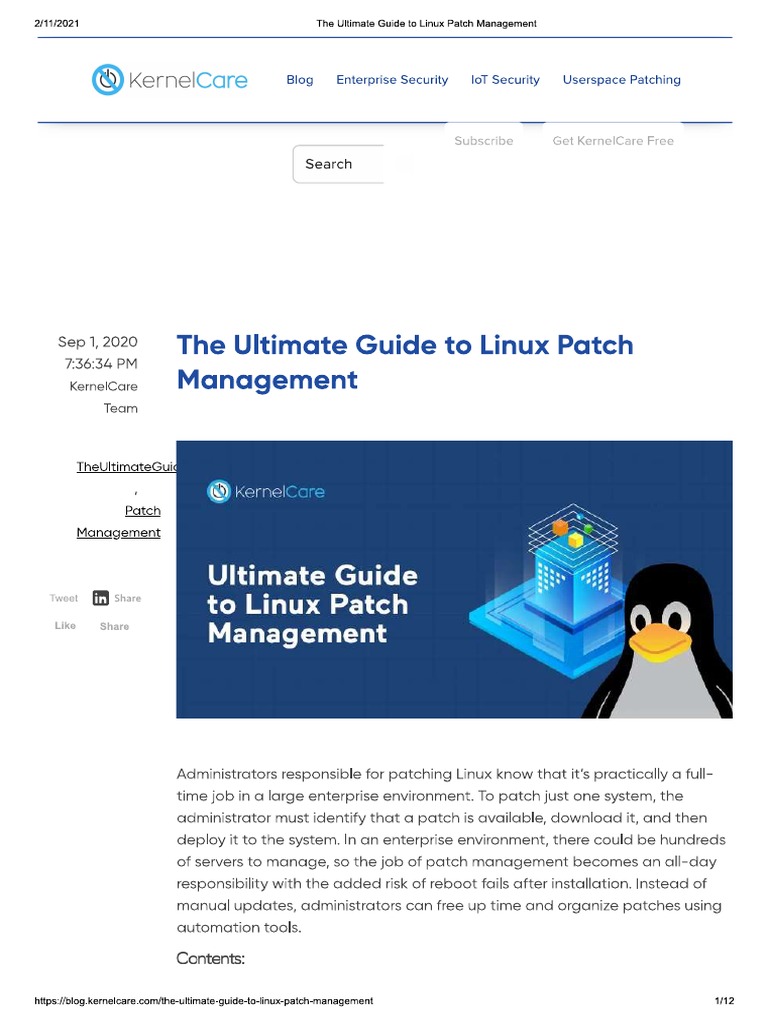 Patch Management | PDF