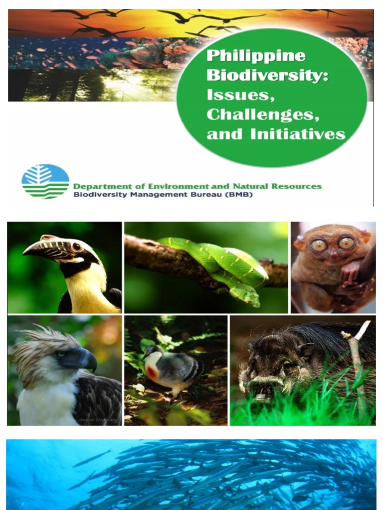 The Sixteen Terrestrial and Six Marine Biogeographic Regions of the ...