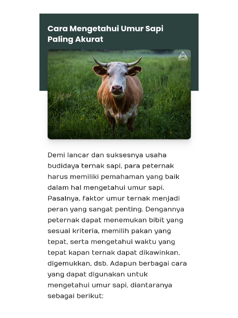 Menghitung Umur Sapi PDF | PDF