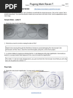 Name: Virtual Microscope by BIONETWORK: Online Edition | PDF | Optical ...