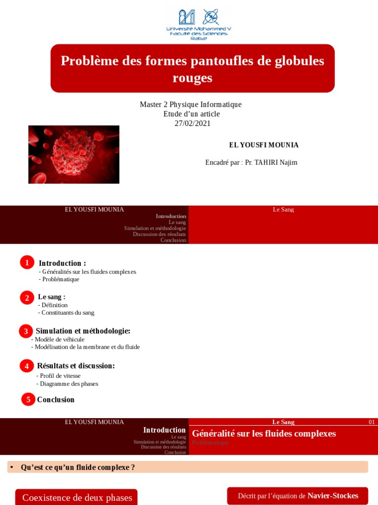 Globules Rouges | PDF | Sang | Globule rouge
