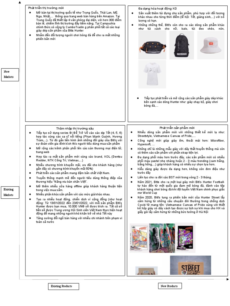 Ansoff - Bitis Hunter | PDF