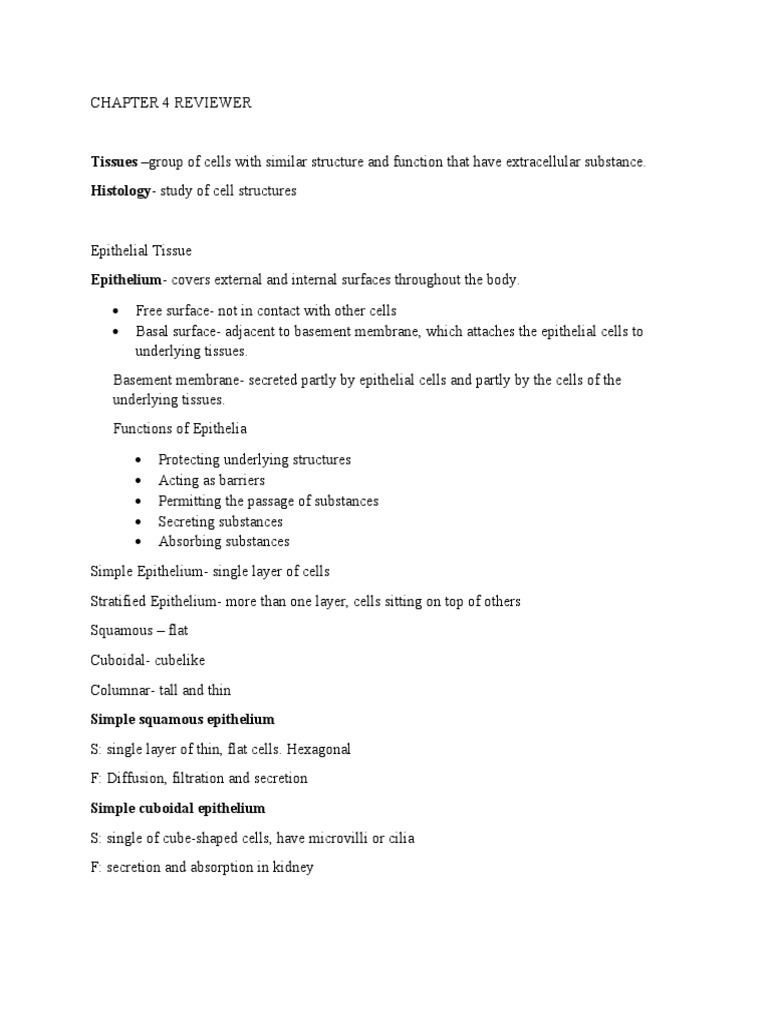 Chapter 4 Reviewer | PDF | Epithelium | Connective Tissue
