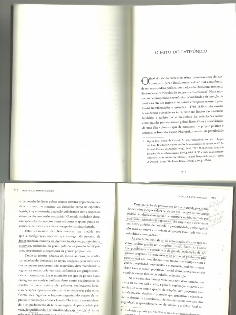 Ferlini, Vera - Açucar e Colonização | PDF