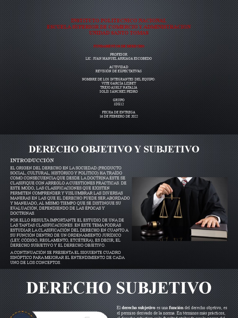 Derecho Objetivo y Subjetivo: Conceptos Clave | PDF | Justicia | Crimen ...