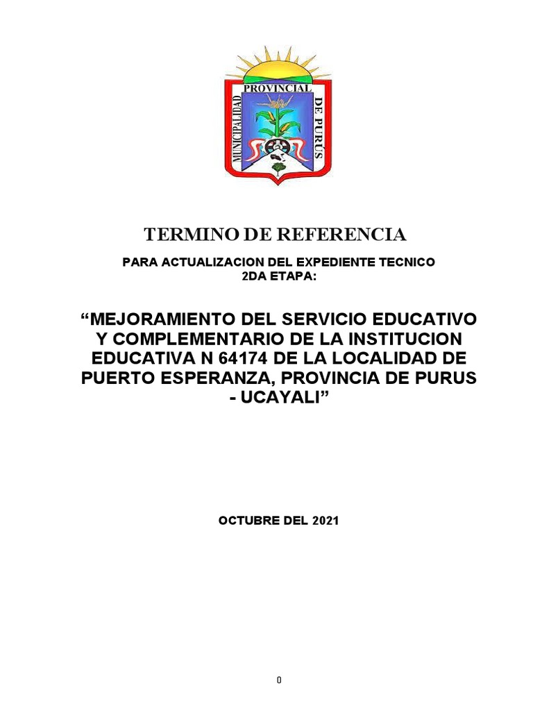 TDR Primaria Purus | PDF | Presupuesto | Economias