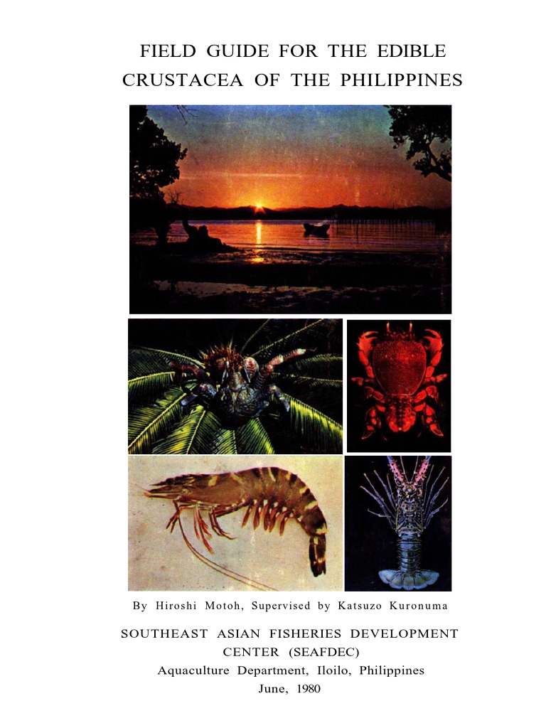 A Field Guide to the Edible Crustaceans of the Philippines: Identification, Ecology ...