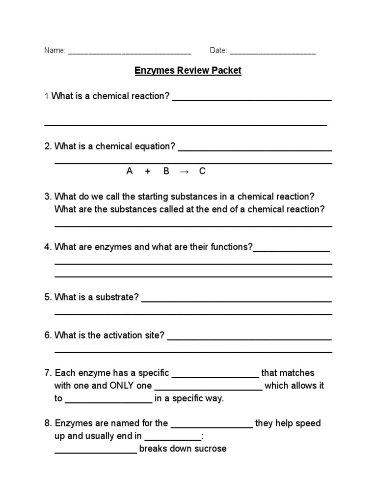 Enzymes Review Packet | PDF | Enzyme | Chemical Reactions