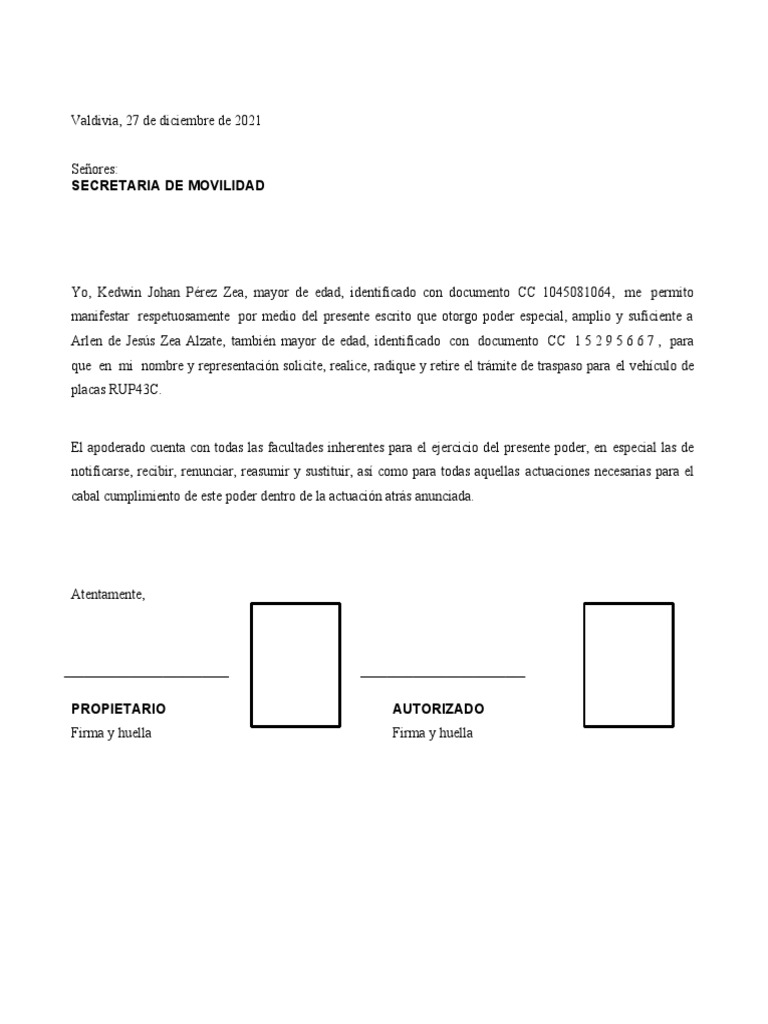 Formato Poder Especial Personal Natural Juridica | PDF