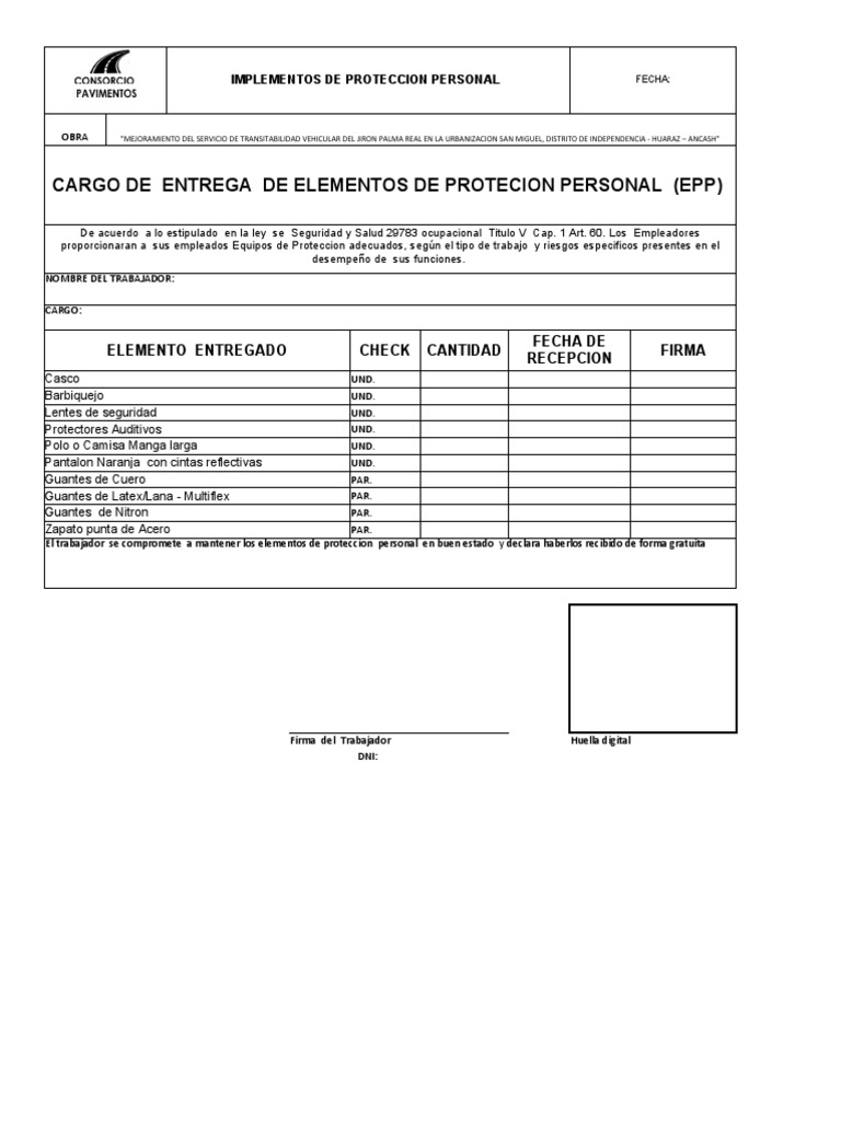 Formato de Entrega de Epp | PDF