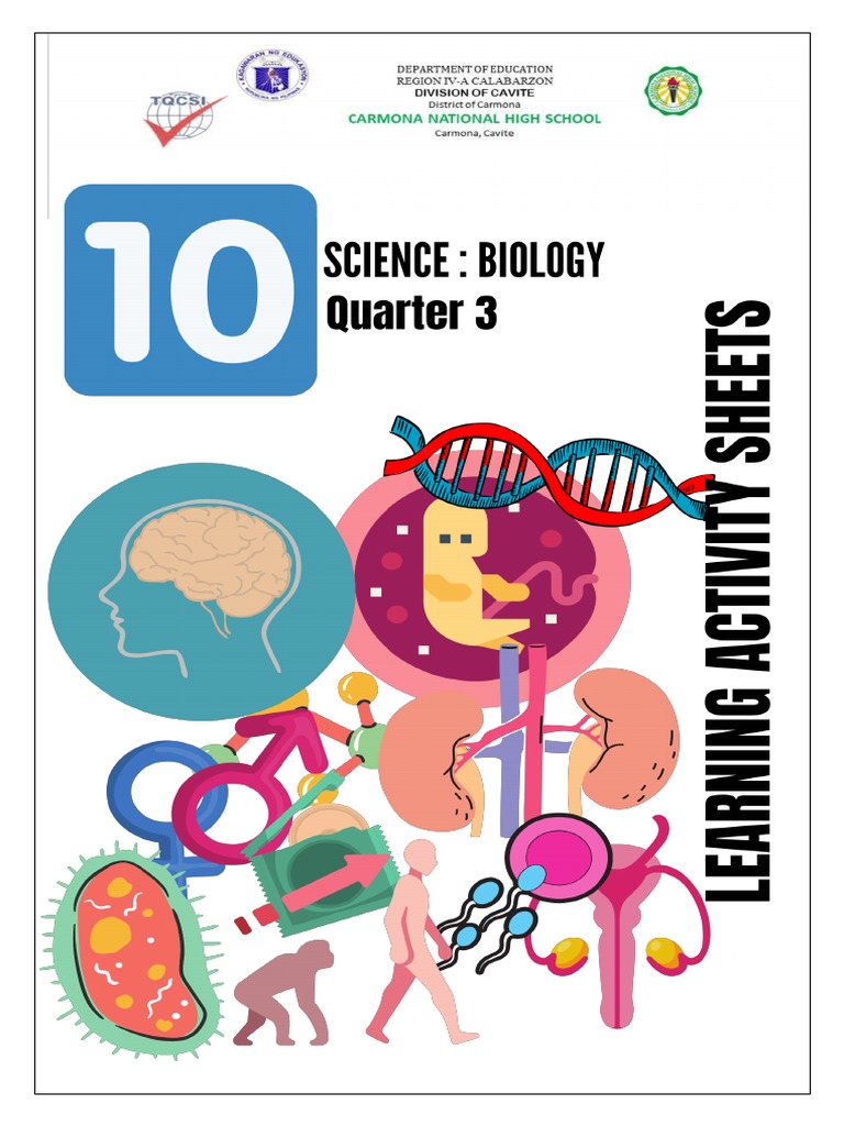 LAS 3rd Quarter FINAL | PDF | Menstrual Cycle | Translation (Biology)