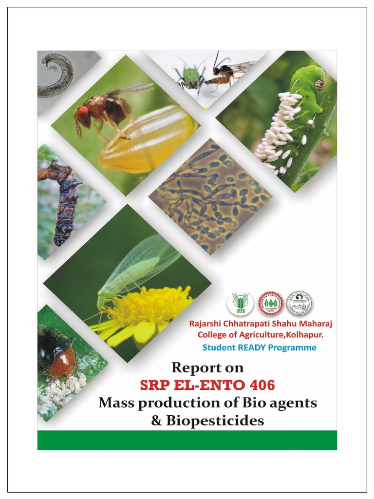 Ento Module Final Report | PDF | Logistics | Pesticide