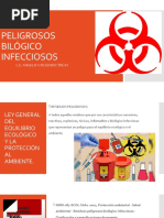 Puntos Más Importantes de La Nom 087 | PDF