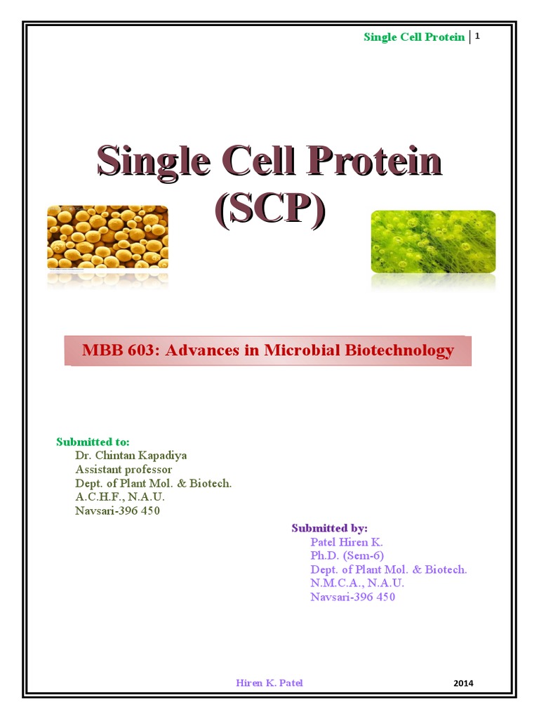 Single Cell Protein (SCP) | PDF | Chemistry