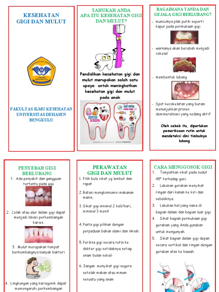 Leaflet Kesehatan Gigi | PDF | Karier & Perkembangan | Kesehatan Holistik