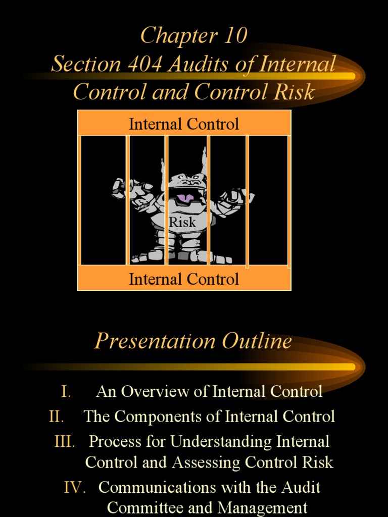 5 Components of Internal Control | PDF
