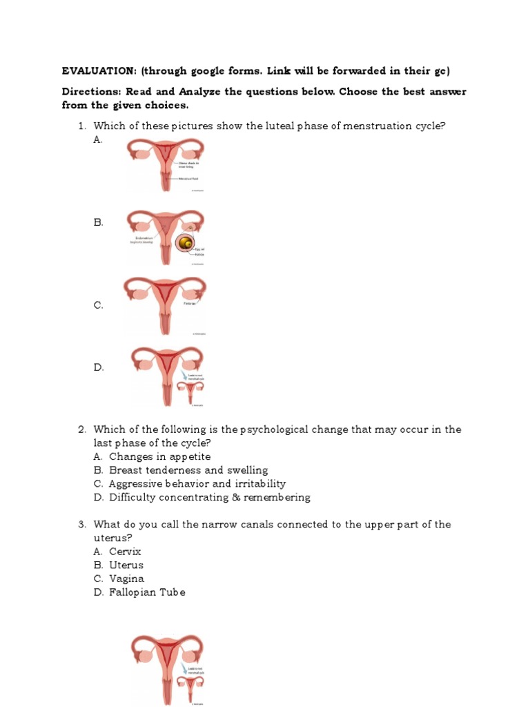 Menstrual Cycle Quiz | PDF | Menstrual Cycle | Sexual Reproduction