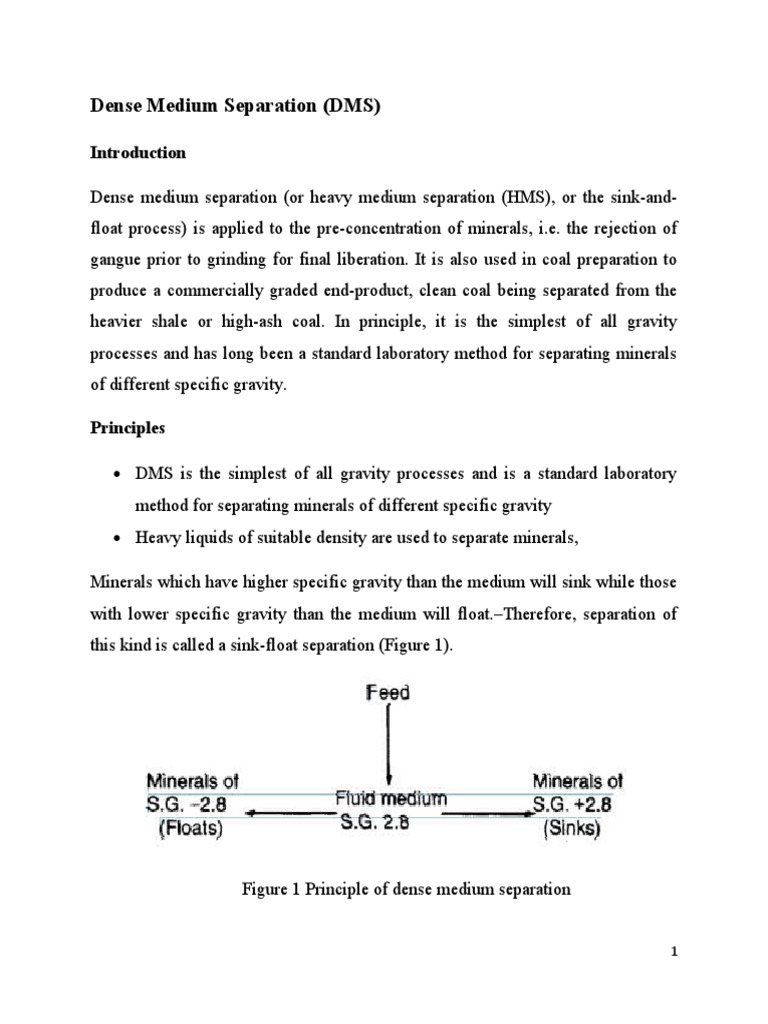 Dense Medium Separation (DMS) | PDF | Fluid Dynamics | Liquids