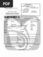 Formato Dictamen ST-3 NUEVO EDIT | PDF