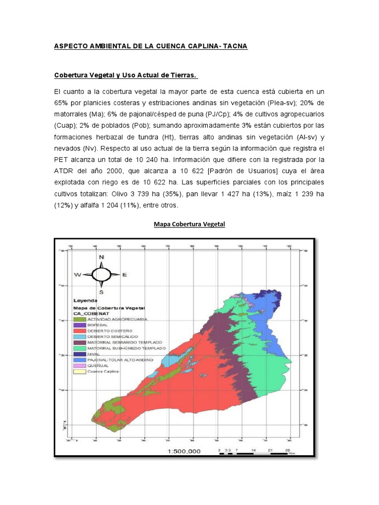 Aspecto Ambiental de La Cuenca Caplina | PDF | Cuenca de drenaje | Precipitación